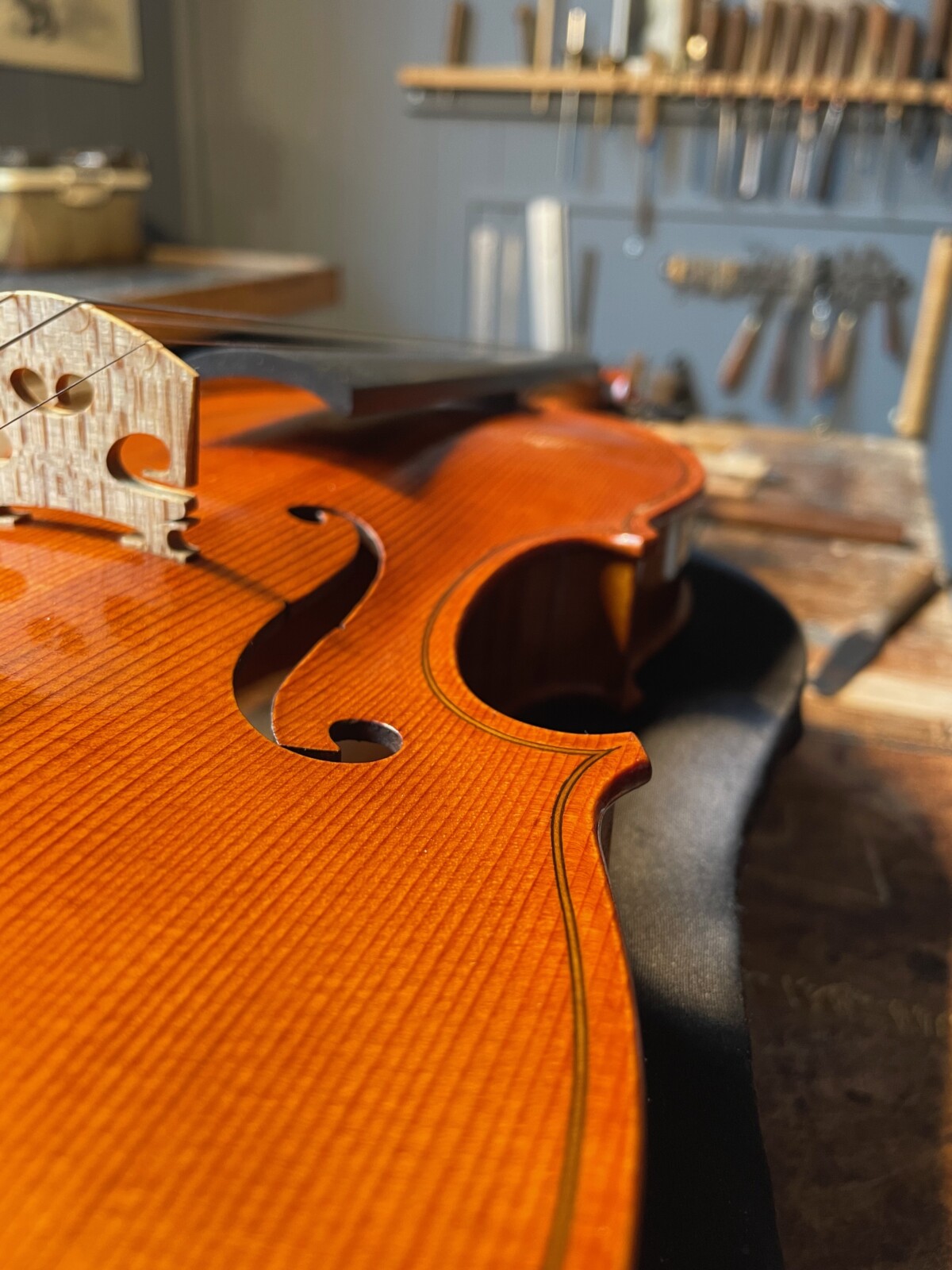 Violin, Jacob von der Lippe - Oslo, 2023